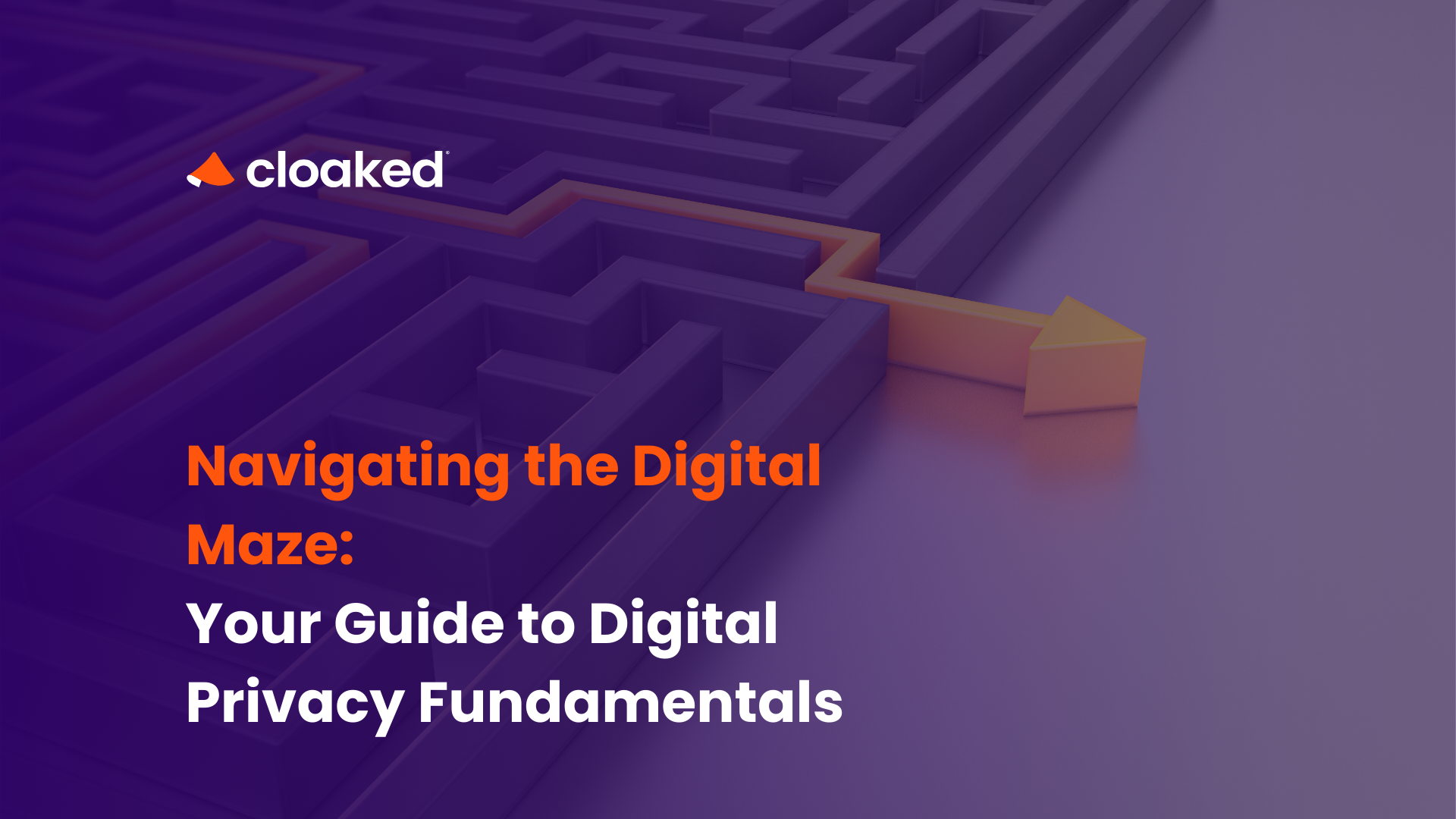 Cloaked - Navigating the Digital Maze: Your Guide to Digital Privacy Fundamentals